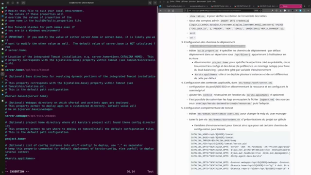 esup.Video - [Avenir(S)] Replay Webinaire Technique Karut…